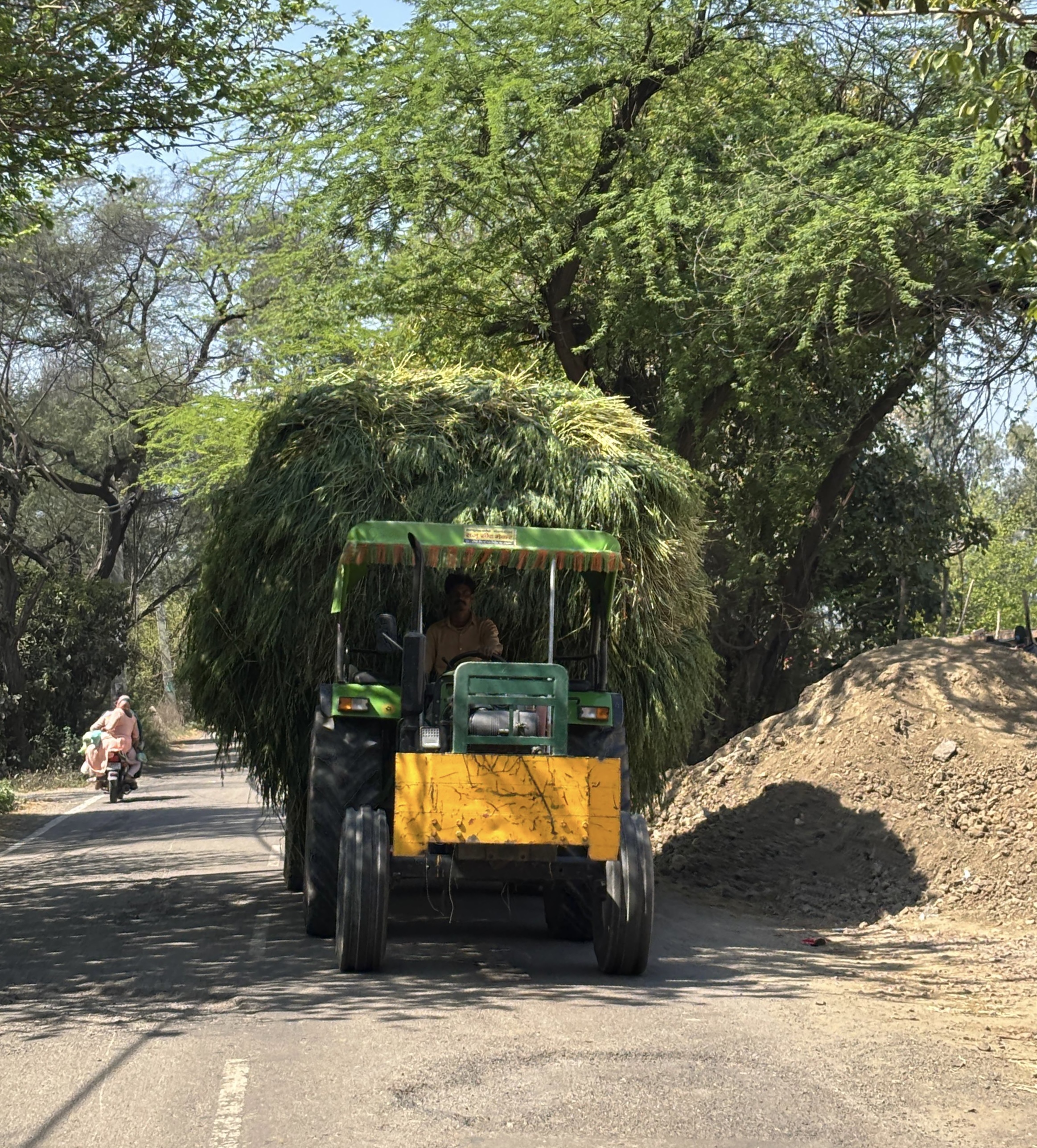 "Empowering Sustainability — Converting Agricultural Waste into Clean Power and Supporting ...